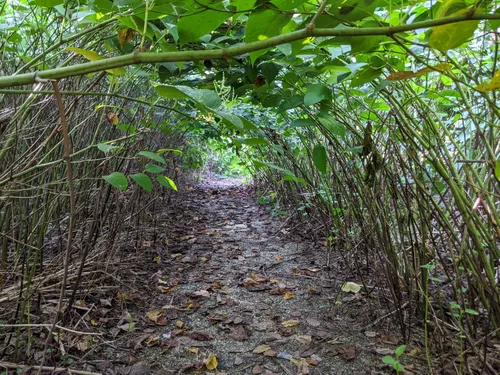 Best Hikes and Trails in Red Jacket Riverfront Park | AllTrails