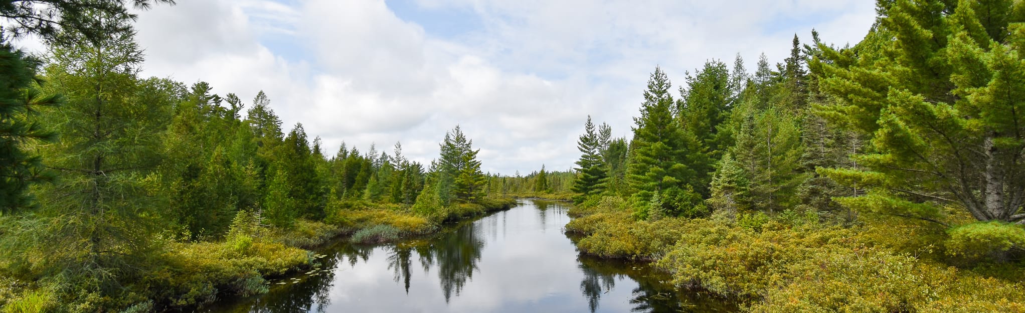 Craig Lake Trail | Map, Guide - Michigan | AllTrails
