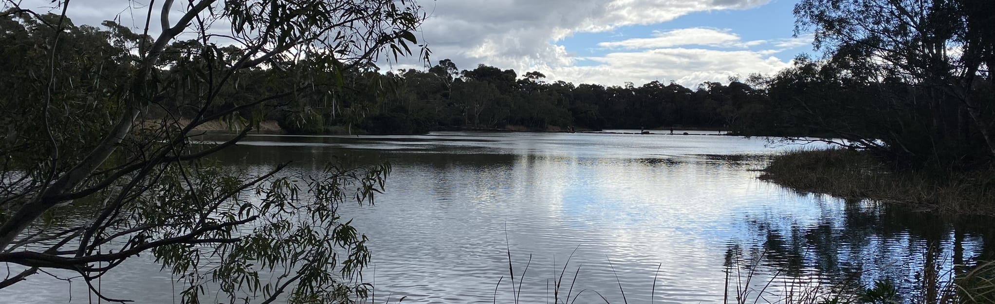 Newport Lakes Park Loop: 28 Reviews, Map - Victoria, Australia | AllTrails
