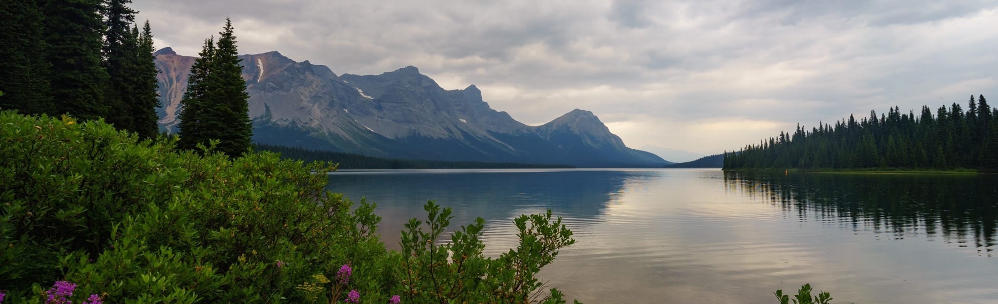 Kakwa Lake Trail | Map, Guide - British Columbia, Canada | AllTrails