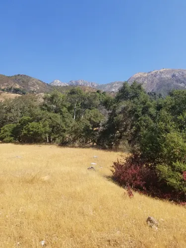 10 Best Hikes and Trails in Ventana Wilderness | AllTrails