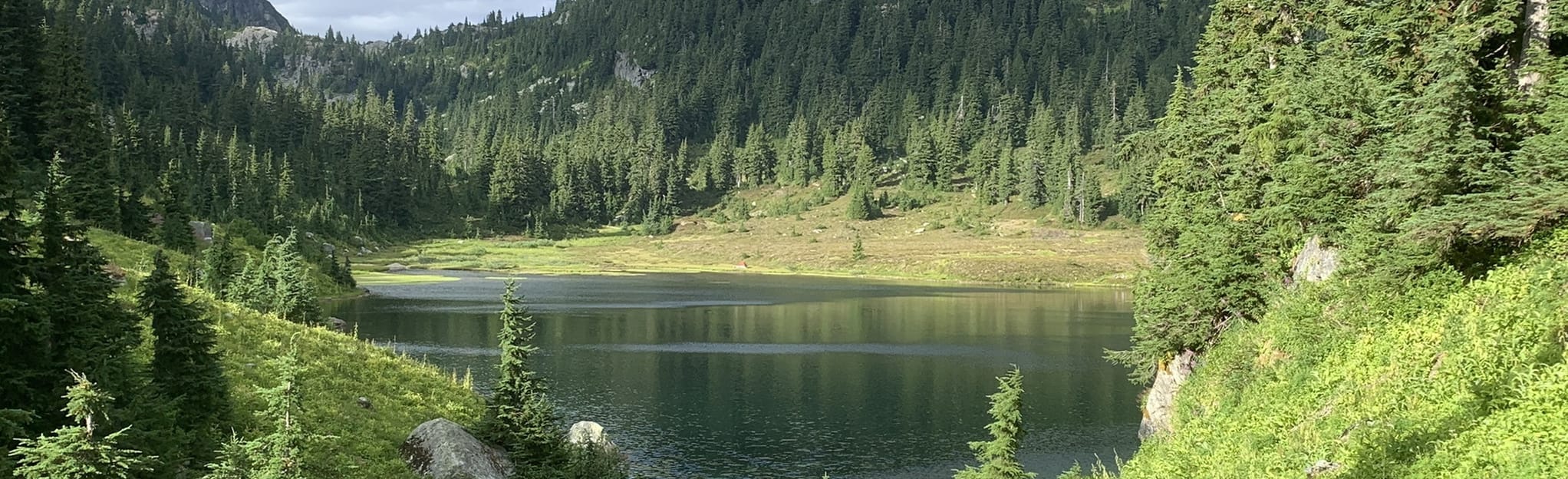 Gin Peak: 110 Reviews, Map - British Columbia, Canada | AllTrails