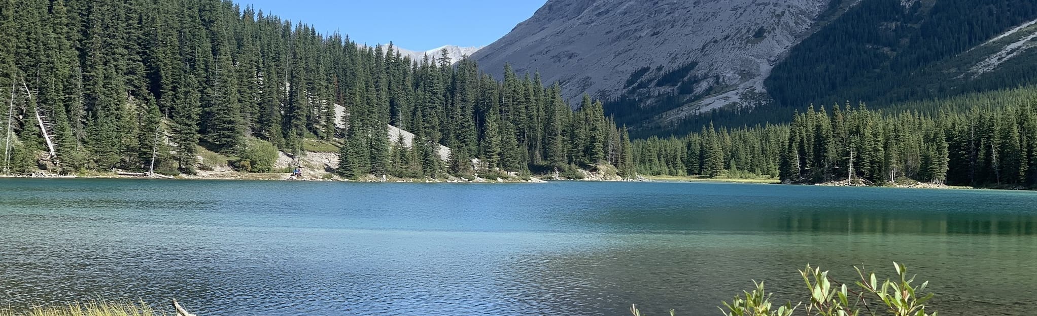 Elbow Lake and Rae Glacier, Alberta, Canada - 264 Reviews, Map | AllTrails