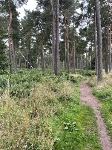 10 Best Trails, Walks, and Paths in Cupar | AllTrails