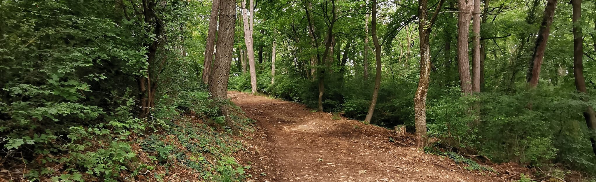 Wienerwald-IML Wanderweg 1: 6 Reviews, Map - Lower Austria, Austria ...