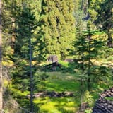 Chicago Stump Trail, California - 73 Reviews, Map | AllTrails
