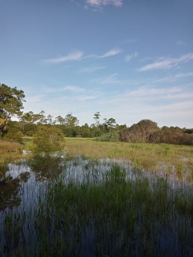 2023 Best trails in Prairie Pines Preserve | AllTrails