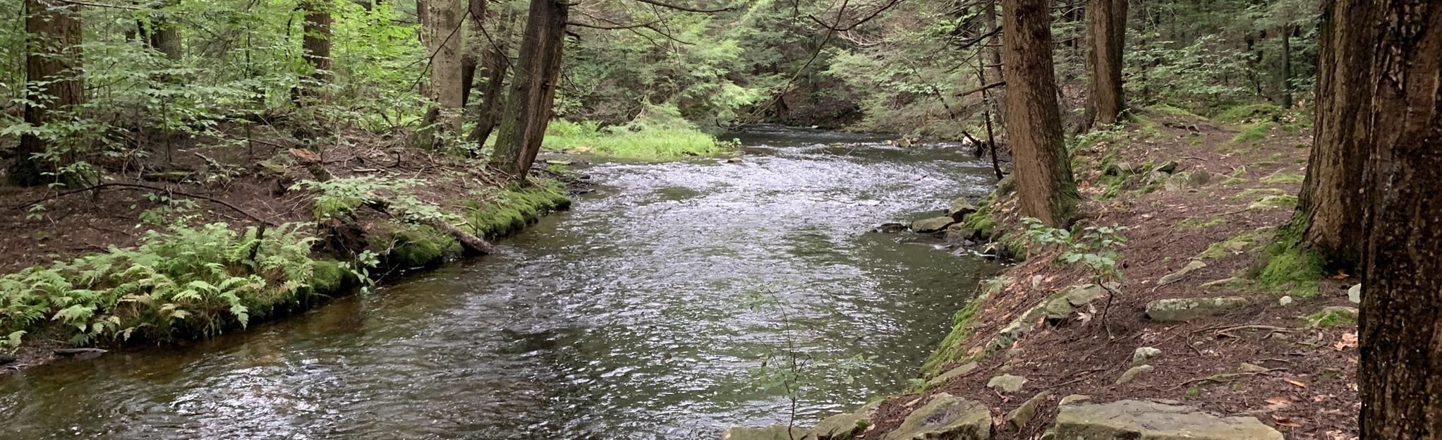 Old Beaver Dam Road Trail, Pennsylvania - 86 Reviews, Map | AllTrails