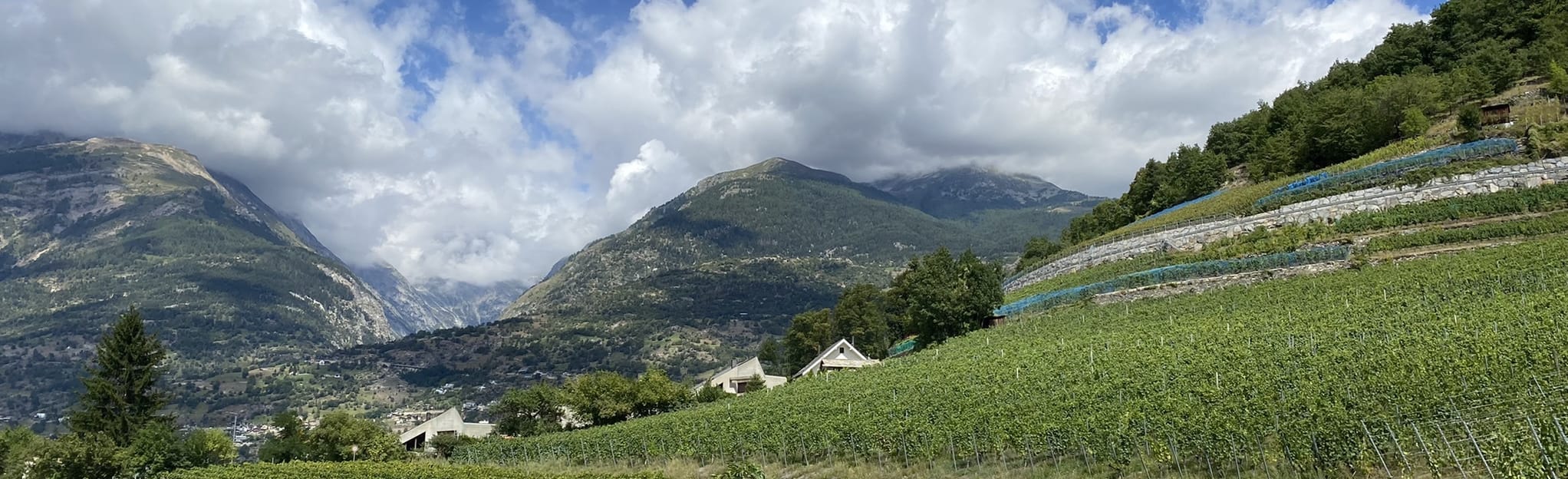 Visp - Visperterminen, Valais, Switzerland - 14 Reviews, Map | AllTrails