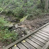 Beckwith Point Trail, Tennessee - 156 Reviews, Map | AllTrails