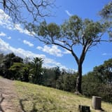 Umlazi River Trail, Kwazulu-Natal, South Africa - 2 Reviews, Map ...