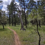 Gold Digger Trail to Two Spot Trail Loop, Arizona - 195 Reviews, Map ...