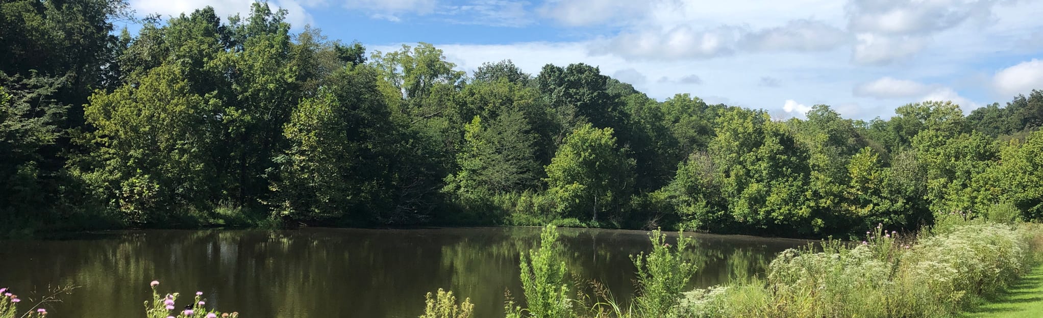 Timberland Park Perimeter Trail | Map, Guide - Tennessee | AllTrails