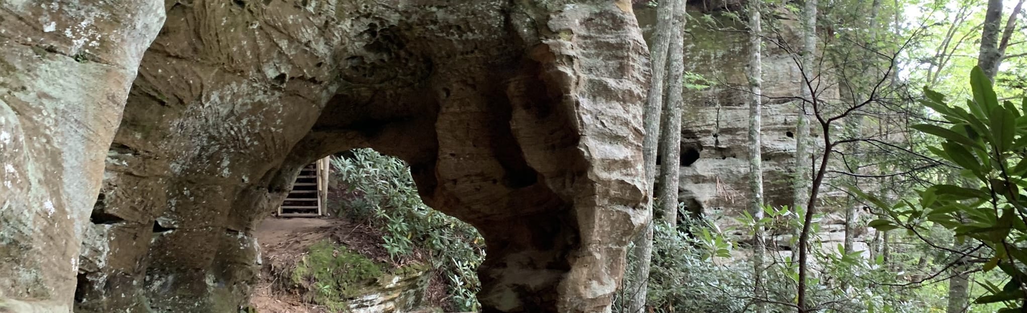 Hidden Arch Trail: 828 Reviews, Map - Kentucky | AllTrails