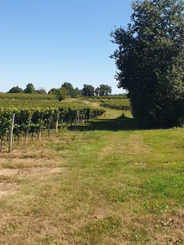 2023 Best Trails, Walks, and Paths in Targon | AllTrails