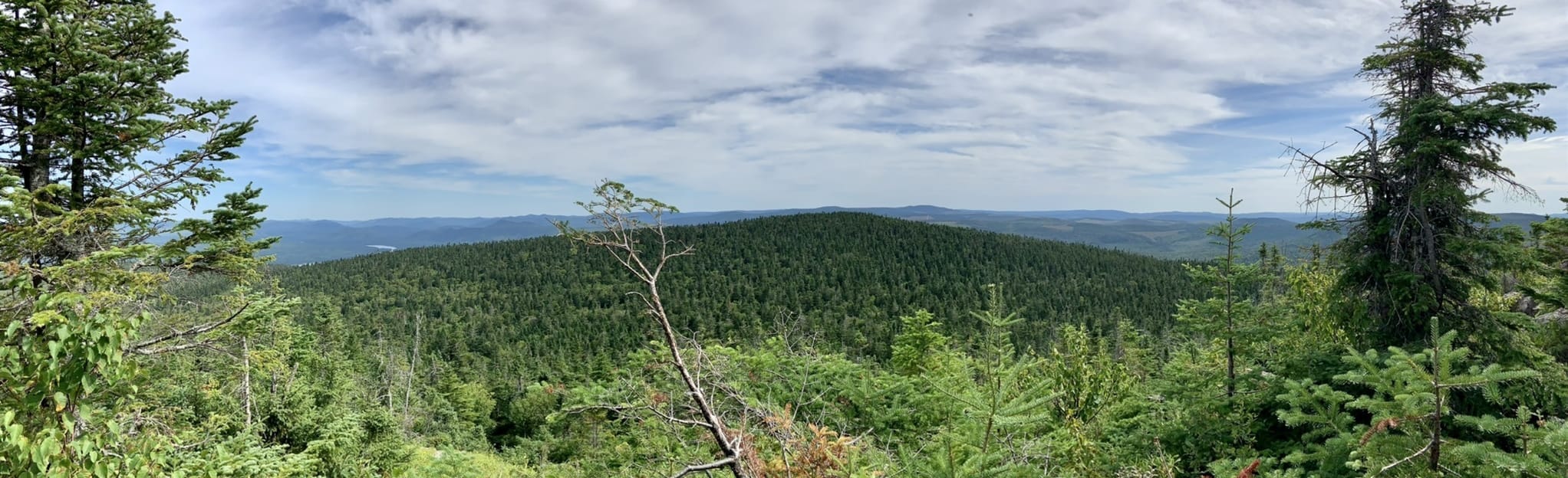 Big Brook Trail: 4 Reviews, Map - New Brunswick, Canada | AllTrails