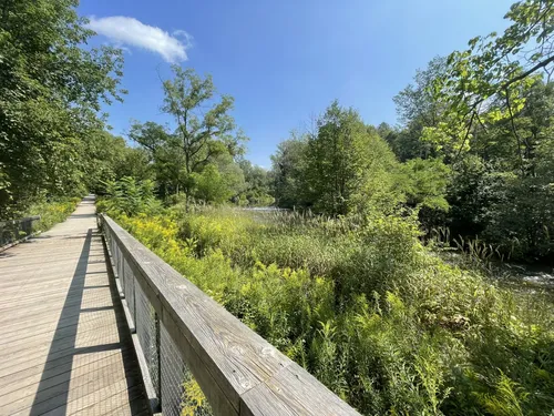 10 Best Trails and Hikes in Markham | AllTrails