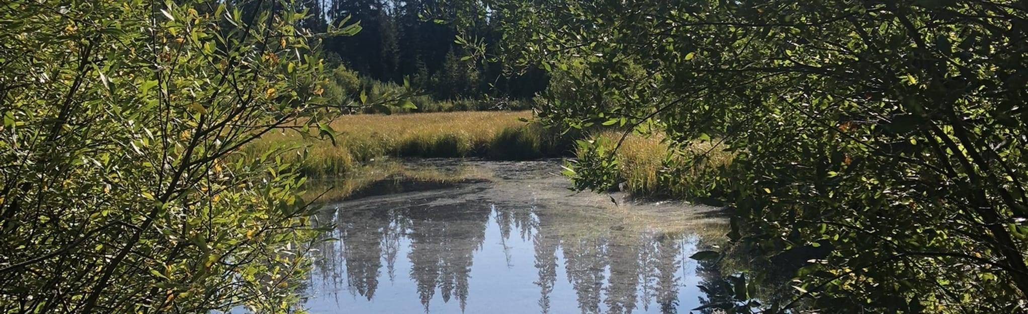 Fred Lake via Sidewinder, British Columbia, Canada - 9 Reviews, Map ...