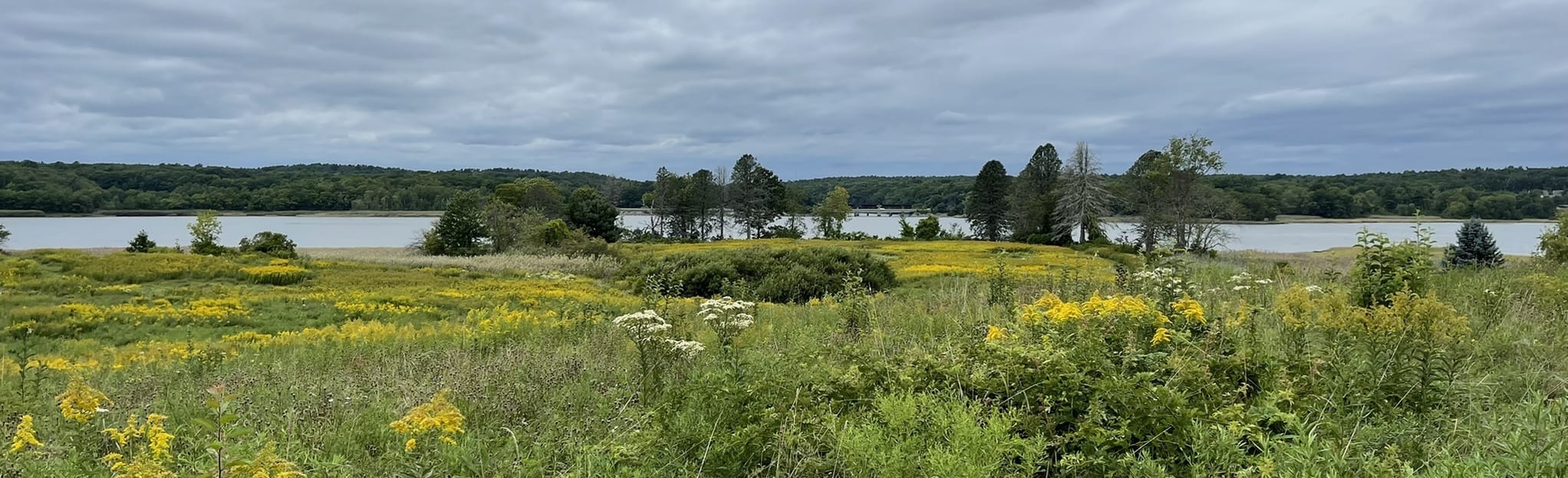 Gilsland Farm Trail, Maine - 260 Reviews, Map | AllTrails