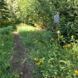 South Chilco Mountain, Idaho - 191 Reviews, Map | AllTrails