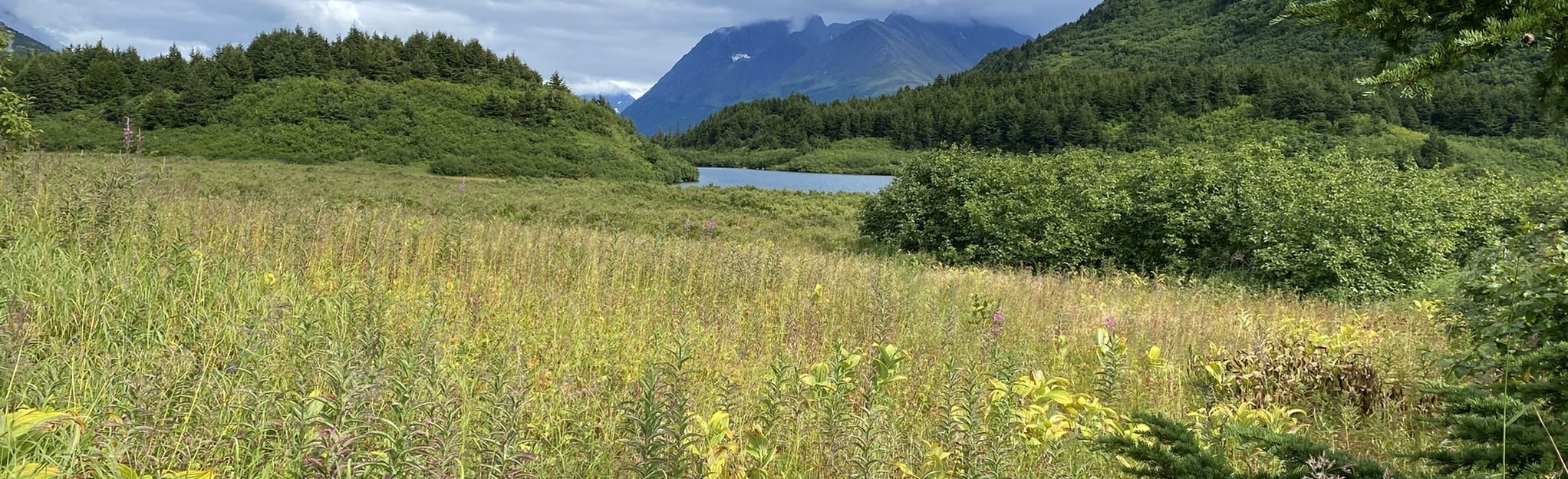 Carter Lake Trail, Alaska - 295 Reviews, Map | AllTrails