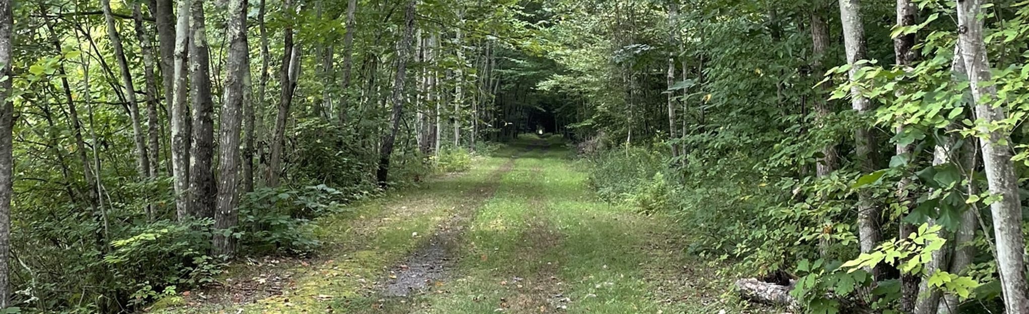 D H Canal Linear Park Towpath 63 Reviews Map New York Alltrails