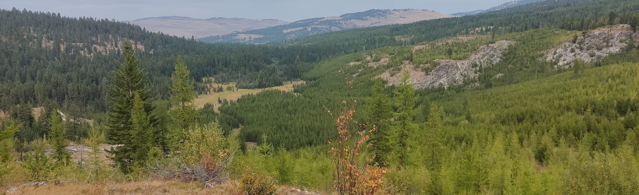 AllTrails | National Forest Development Road 100: 4 Reviews, Map ...