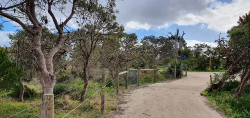 Best Hikes and Trails in Star Swamp Bushland Reserve | AllTrails