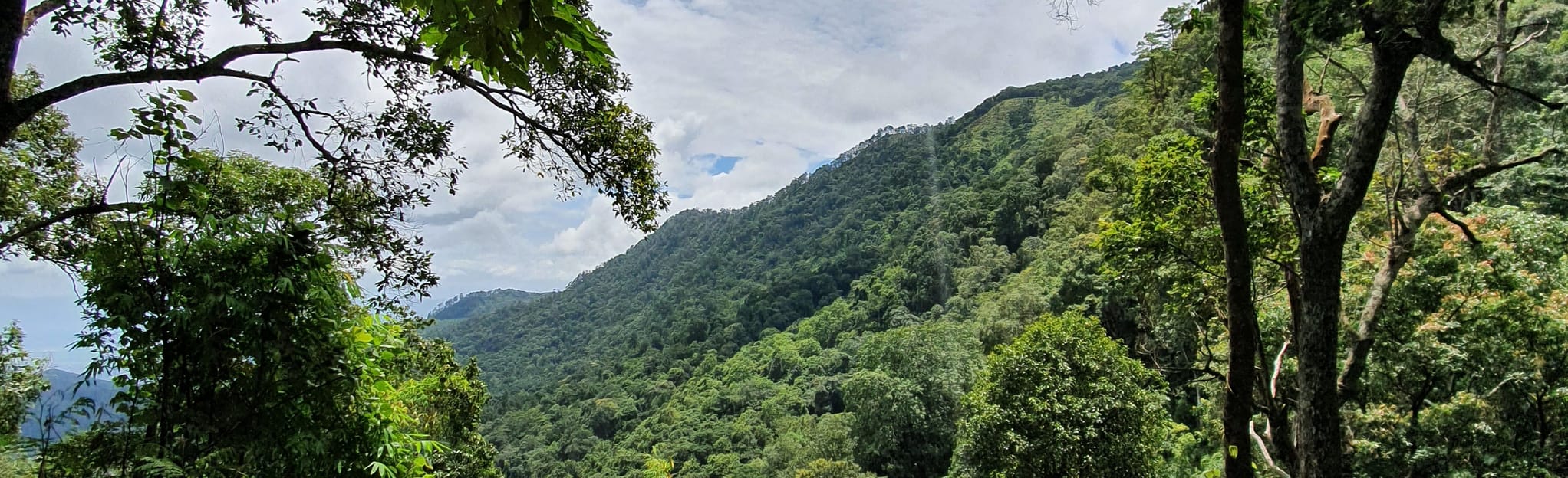 Ban Hmong Doi Pui - Queen Sirikit Botanical Garden - Chiang Mai ...