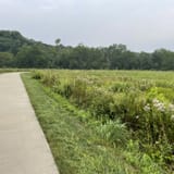 Louisville Loop, Kentucky - 427 Reviews, Map | AllTrails