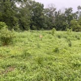 Louisville Loop, Kentucky - 427 Reviews, Map | AllTrails