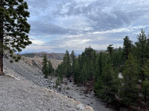 2023 Best Historic Site Trails in Inyo National Forest | AllTrails