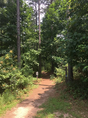 Best Hikes and Trails in Talking Rock Nature Preserve | AllTrails