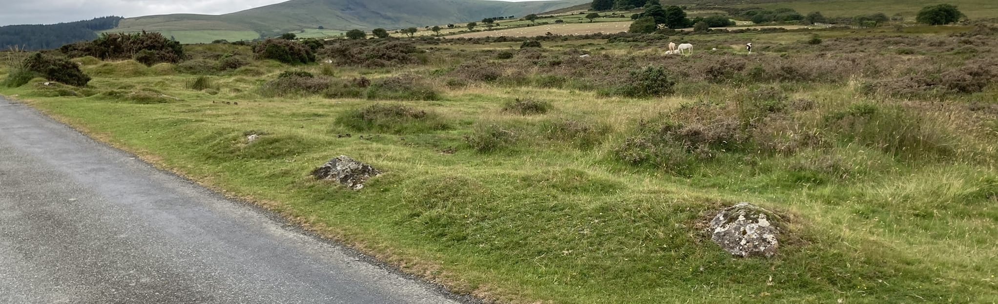 Foel Cwmcerwyn Circular, Pembrokeshire, Wales - 13 Reviews, Map | AllTrails