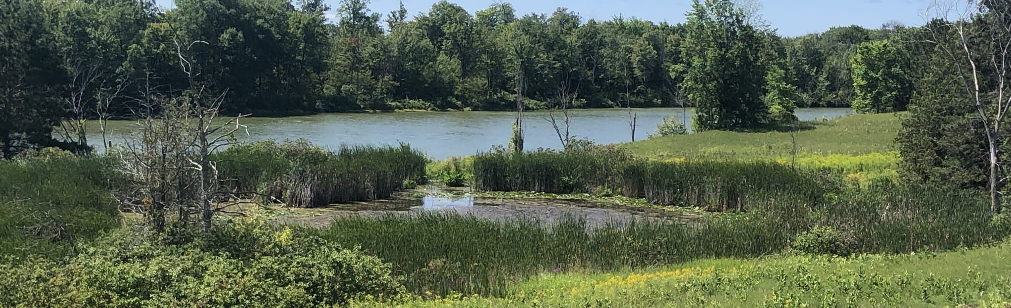 Chemin Paddle des Chutes de Plaisance - Quebec, Canada | AllTrails