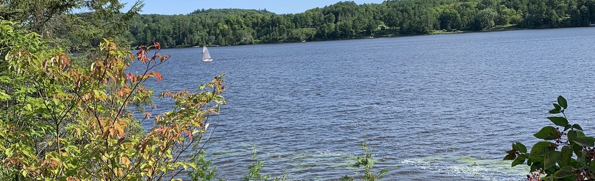 Voie Verte Chelsea - Larrimac: 25 Reviews, 62 Photos, Map - Quebec ...