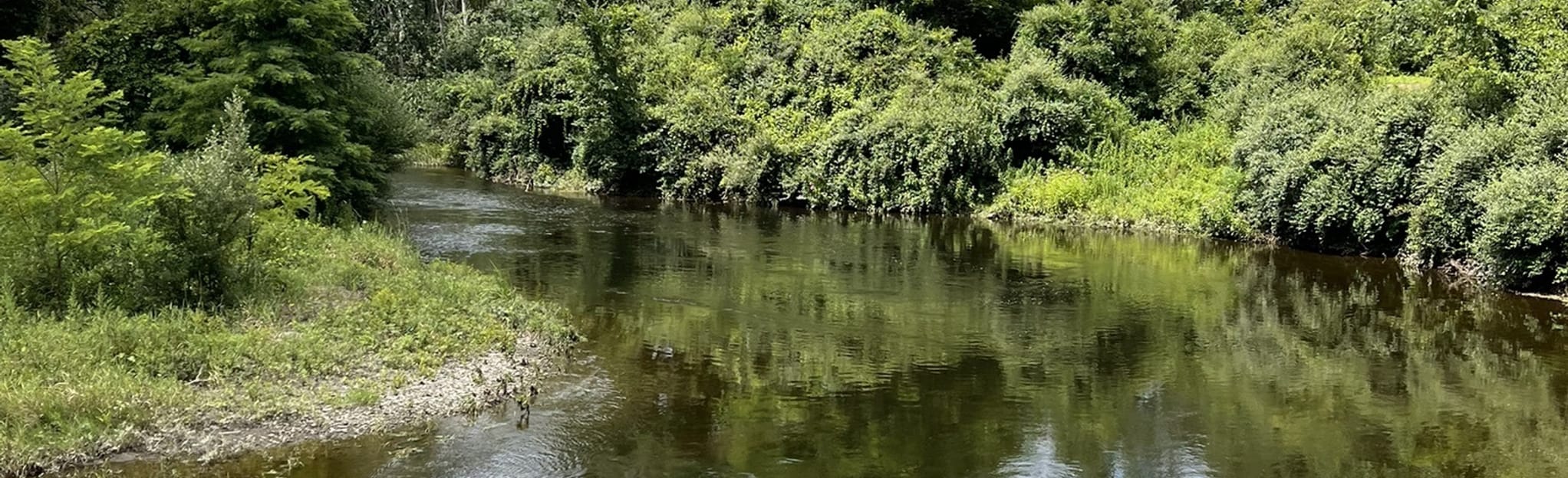 Vosburgh Blue Trail Loop, New York - 53 Reviews, Map | AllTrails