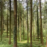 Center Parcs Longleat Forest Circular, Wiltshire, England - 115 Reviews ...