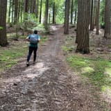 Center Parcs Longleat Forest Circular, Wiltshire, England - 115 Reviews ...