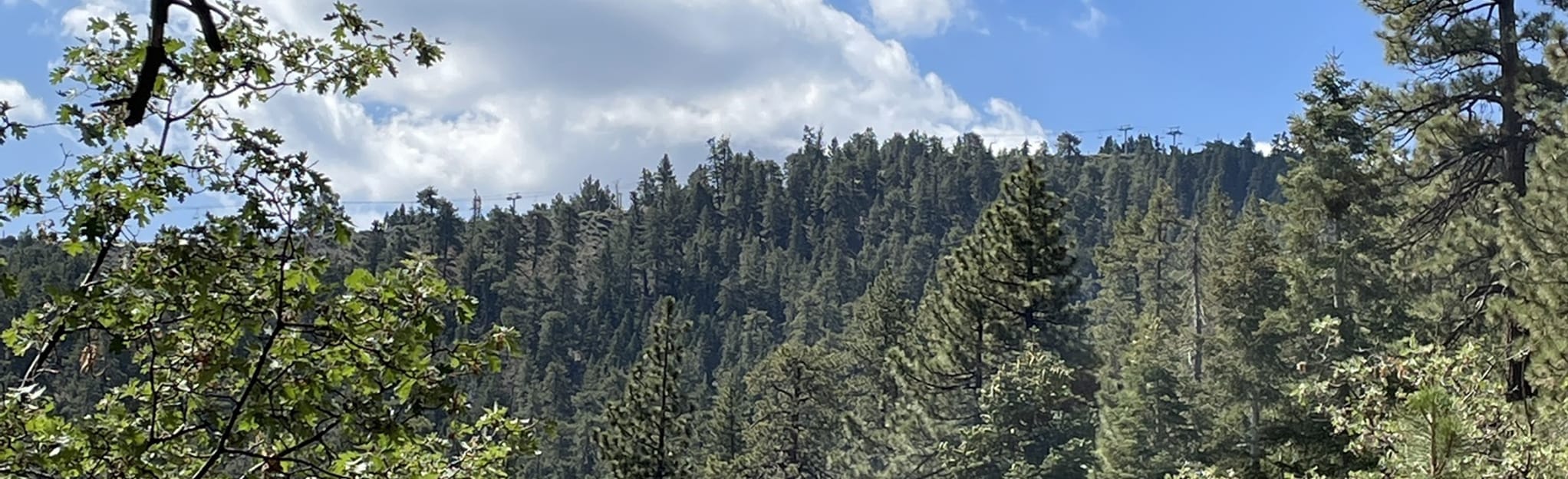 Blue Ridge Trail: 807 Reviews, Map - California | AllTrails