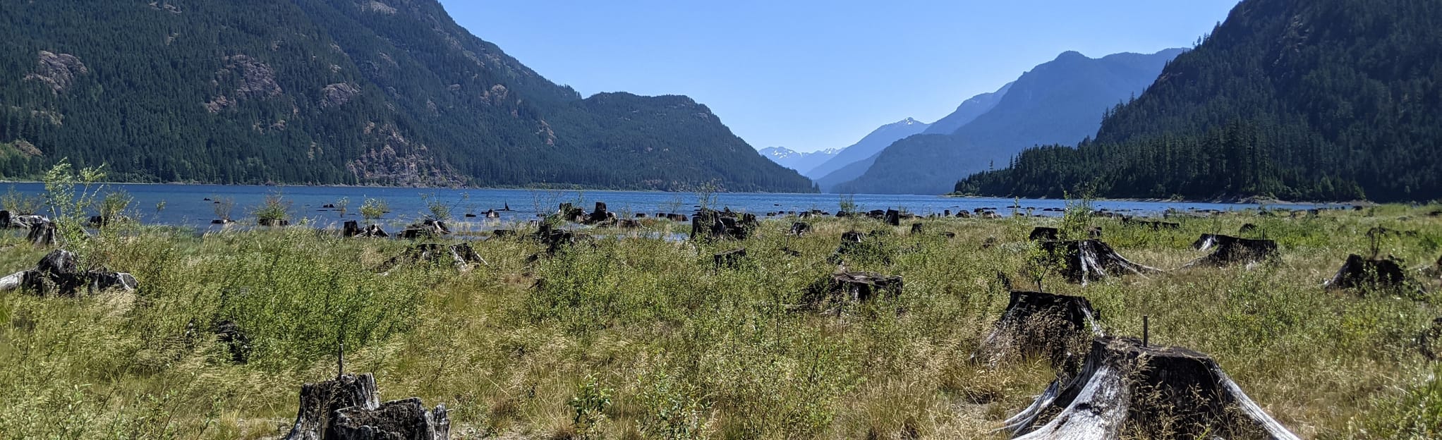 Buttle Lake Beach Trail, British Columbia, Canada - 18 Reviews, Map ...