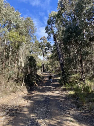 10 Best Hikes and Trails in Brisbane Ranges National Park | AllTrails