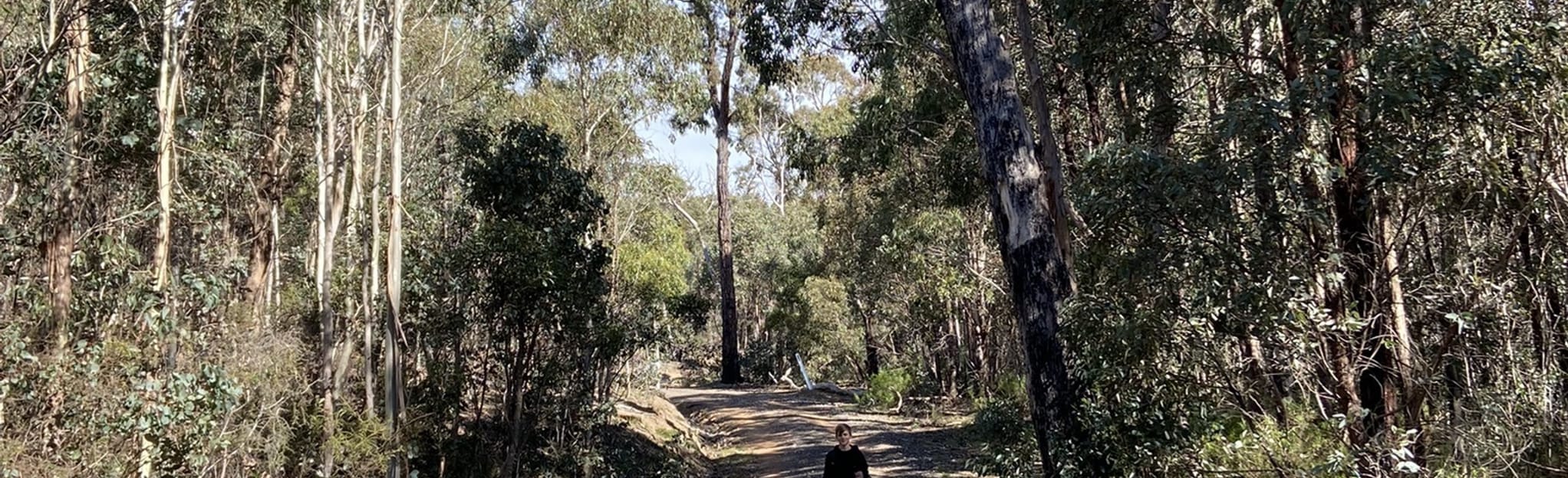 Burchell Trail: Old Mill to Stony Creek, Victoria, Australia - 18 ...