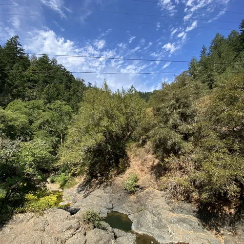 Best 10 Hikes and Trails in Samuel P. Taylor State Park | AllTrails