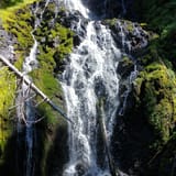 PJ Lake Trail, Washington - 155 Reviews, Map | AllTrails