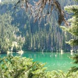 PJ Lake Trail, Washington - 155 Reviews, Map | AllTrails