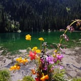 PJ Lake Trail, Washington - 155 Reviews, Map | AllTrails