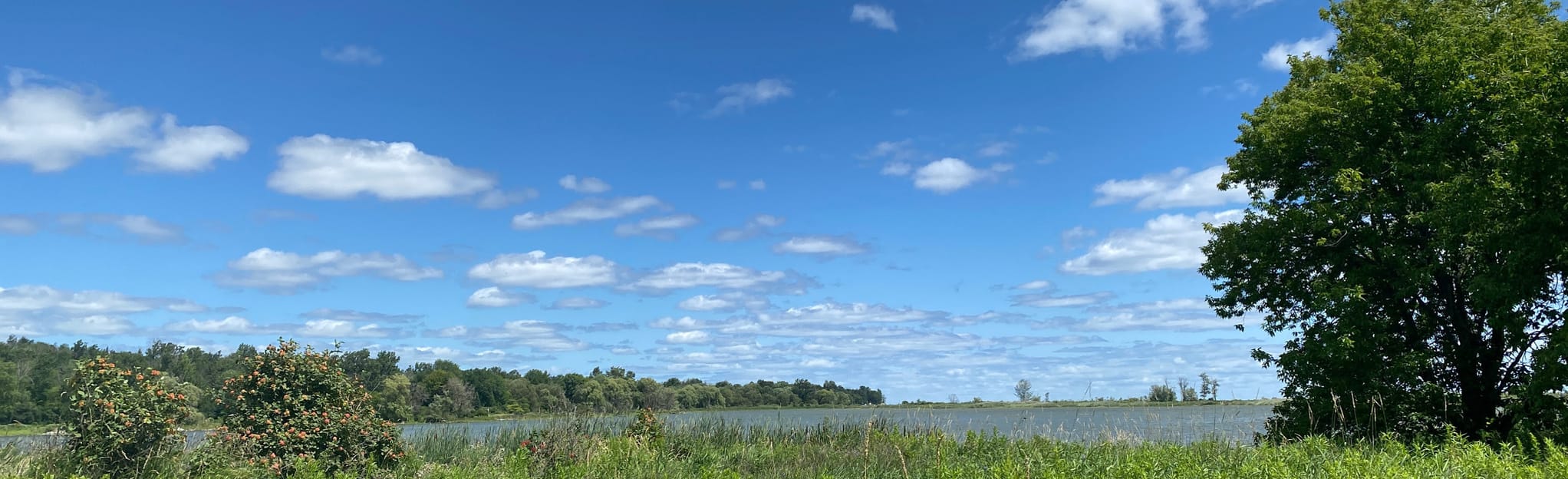 Oshawa Trail Loop: 90 Reviews, Map - Ontario, Canada | AllTrails