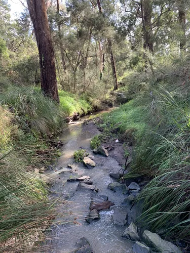 Best Hikes and Trails in Koolunga Native Reserve | AllTrails