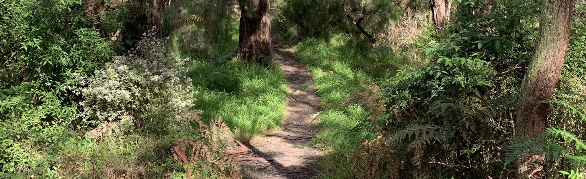 Koolunga Native Reserve, Victoria, Australia - 15 Reviews, Map | AllTrails